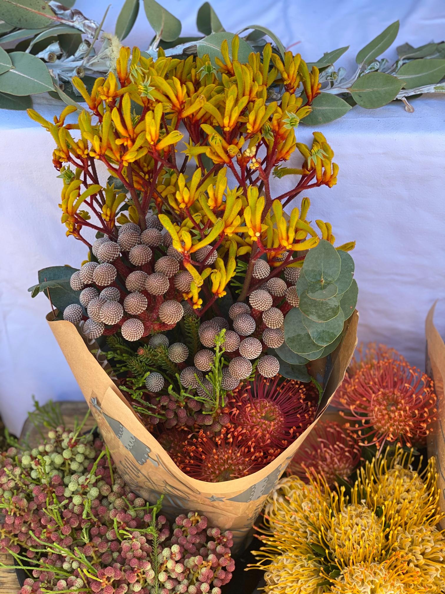 CAPE FLORA